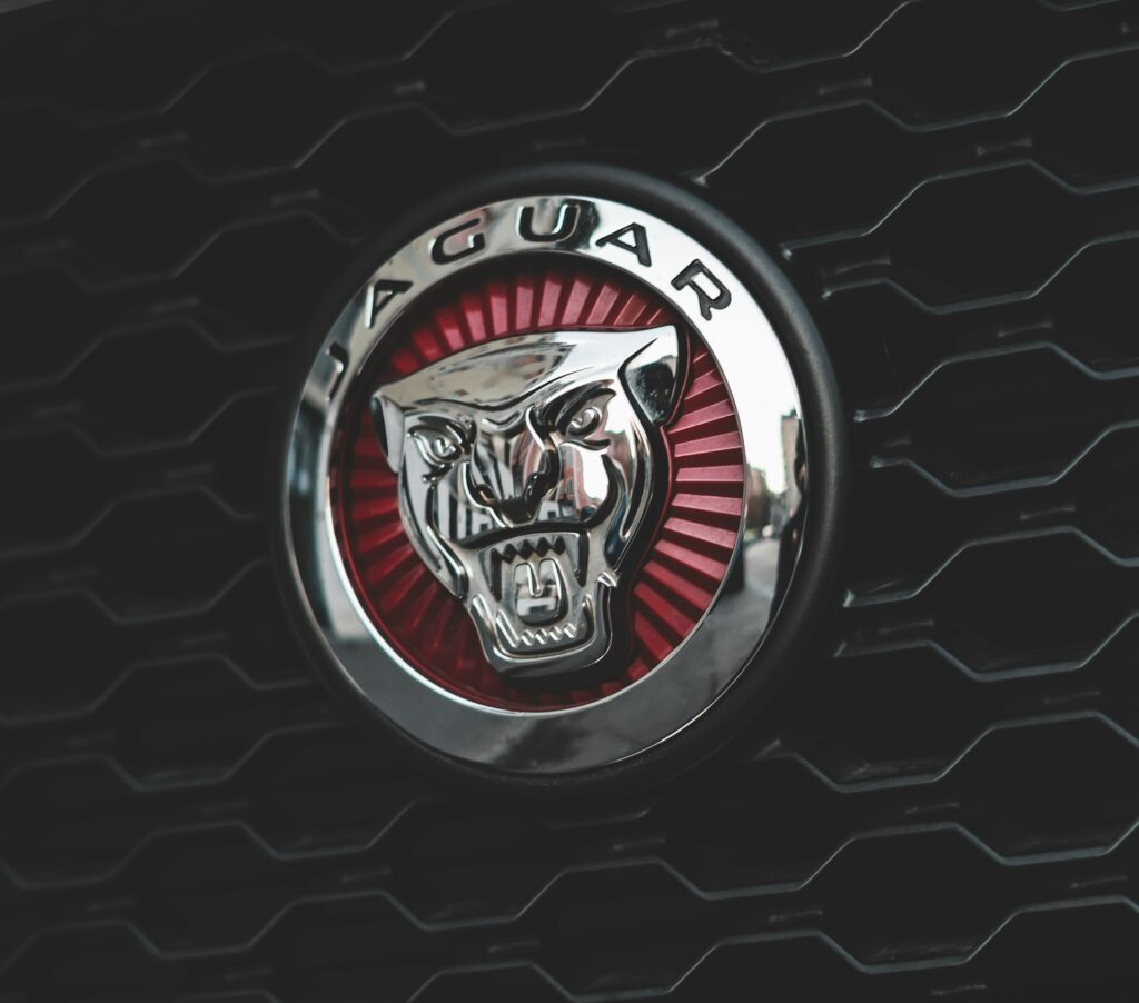 Unleash Your Wild Side: A Guide to Jaguar Luxury and Performance